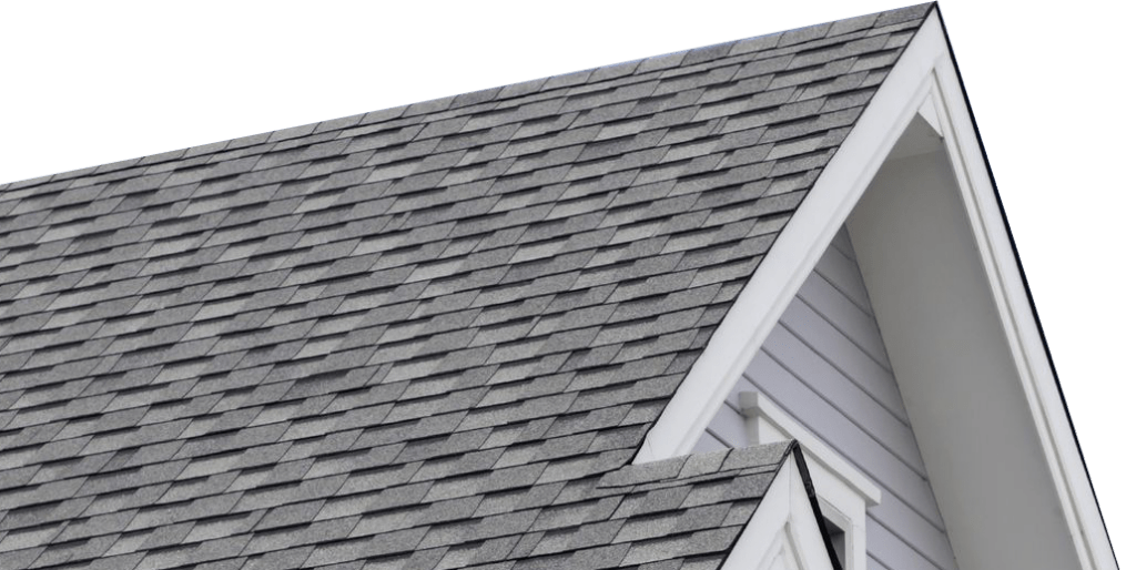 bee roofing roof bg | Bee Roofing